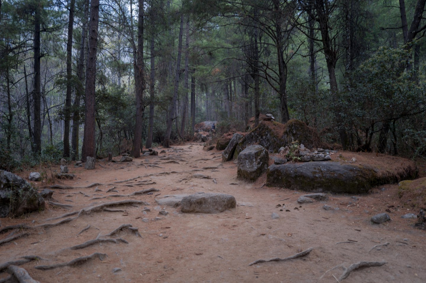 Bhutan (4) : A realistic guide to climbing Tiger’s Nest for the not so ...