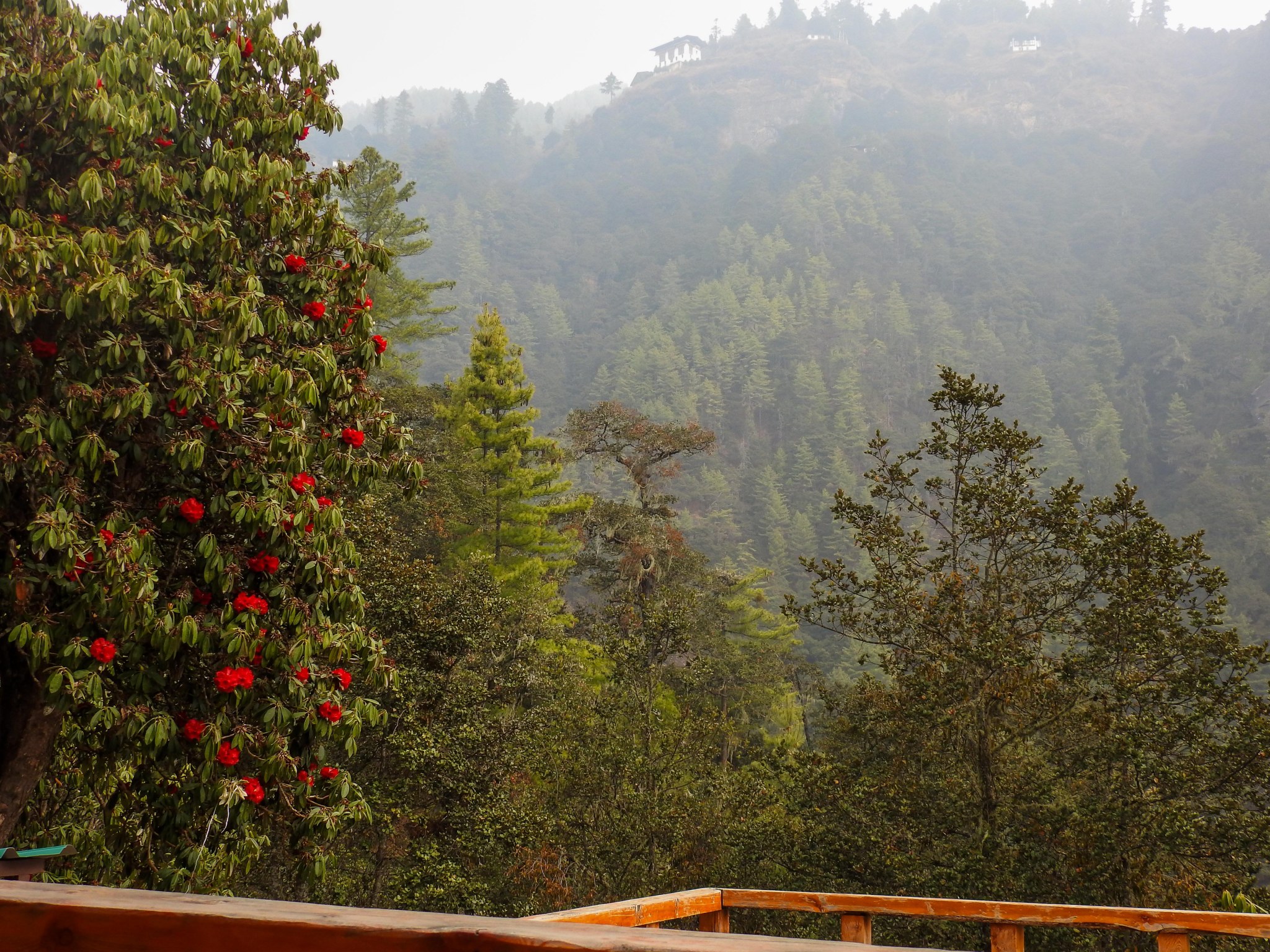 Bhutan (4) : A realistic guide to climbing Tiger’s Nest for the not so ...