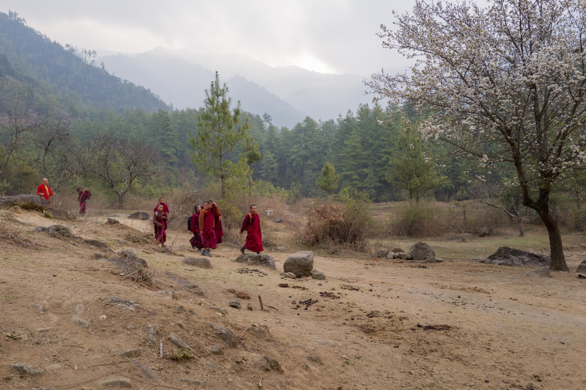 Bhutan (4) : A realistic guide to climbing Tiger’s Nest for the not so ...